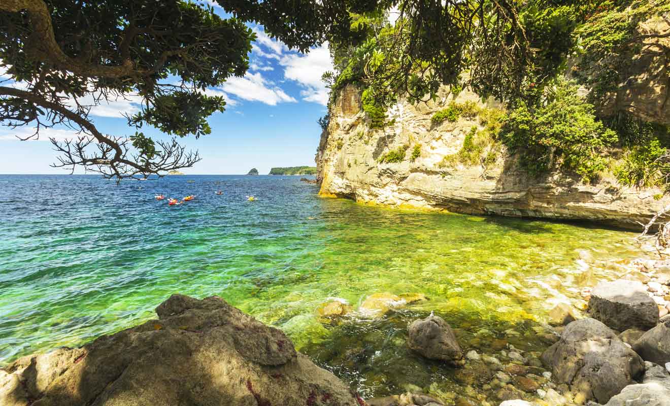 Cathedral Cove | Randonnée à la Plage de Narnia